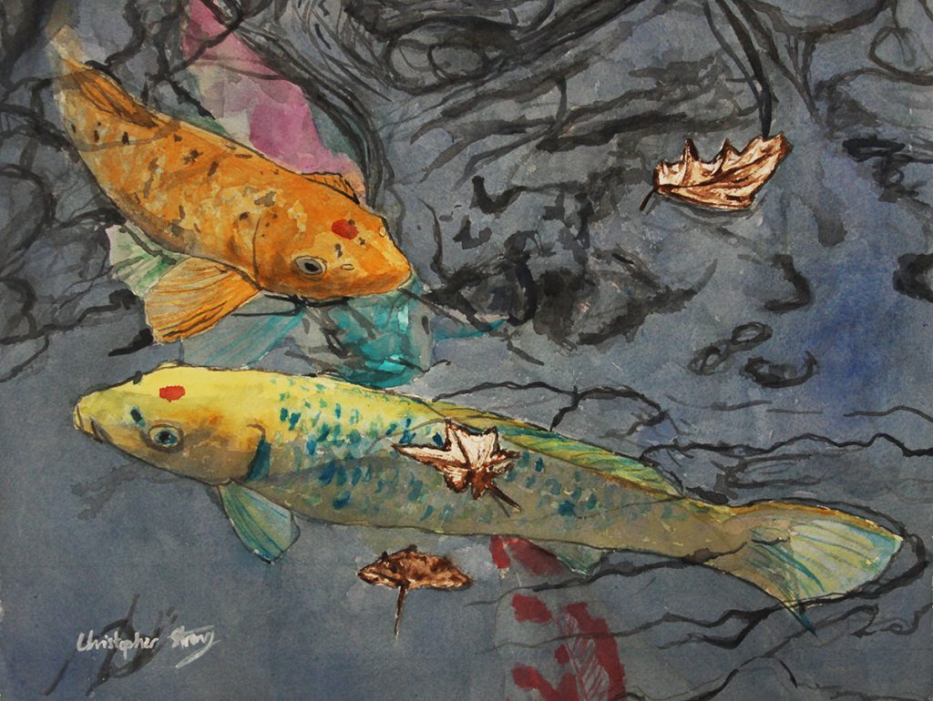 fish-colourful-in-pond-1200 – Rimbun Dahan